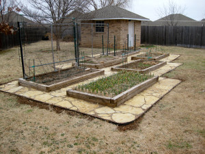 Flagstone Raised Bed Paths | Eco Landscaping